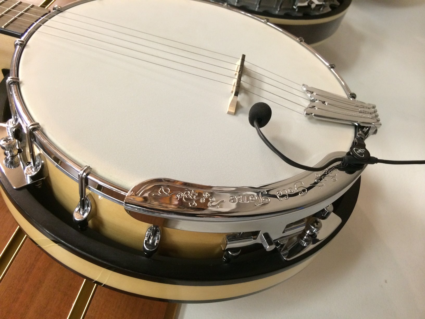 Myers Pickups The Feather Banjo Pickup with Flexible Micro-Gooseneck