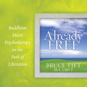 already free: buddhism meets psychotherapy on the path of liberation