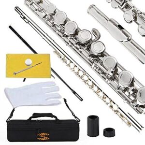 Glory Closed Hole C Flute With Case, Tuning Rod and Cloth, Gloves, Nickel Siver