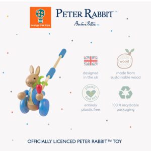 Orange Tree Toys Peter Rabbit Push Along