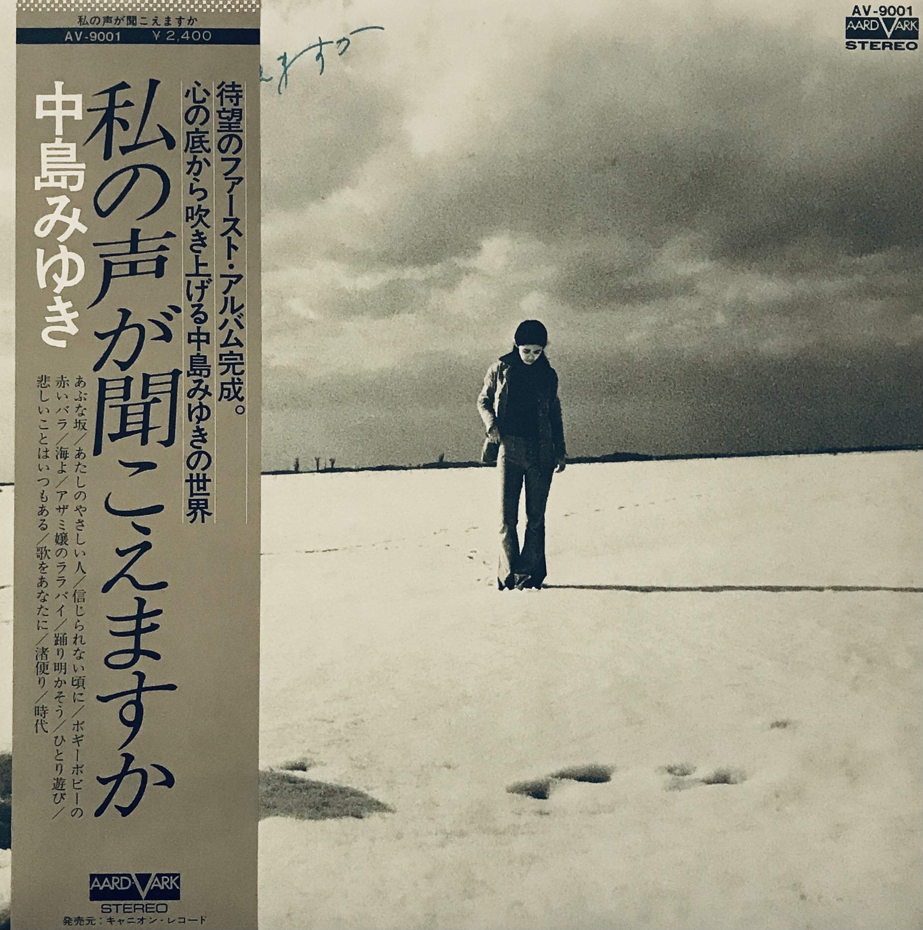 私の声が聞こえますか [12" Original Analog LP Record]