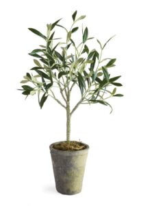 napa cc 17" olive tree in pot, 11x11x17 inches