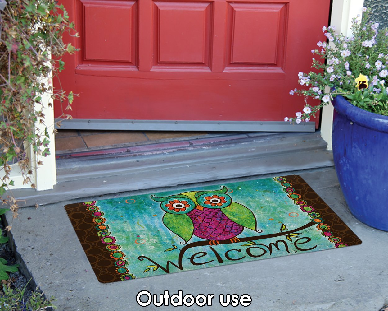 Toland Home Garden 800004 Rainbow Owl Welcome Door Mat 18x30 Inch Bird Outdoor Doormat for Entryway Indoor Entrance