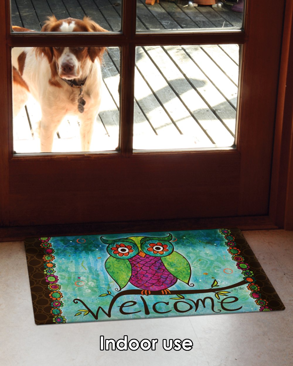 Toland Home Garden 800004 Rainbow Owl Welcome Door Mat 18x30 Inch Bird Outdoor Doormat for Entryway Indoor Entrance