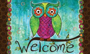 toland home garden 800004 rainbow owl welcome door mat 18x30 inch bird outdoor doormat for entryway indoor entrance