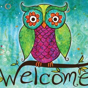 Toland Home Garden 800004 Rainbow Owl Welcome Door Mat 18x30 Inch Bird Outdoor Doormat for Entryway Indoor Entrance