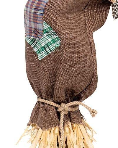 Adult Scarecrow Costume Kit - Standard Size, Multicolor - 1 Set