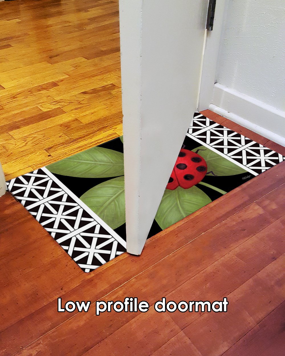 Toland Home Garden 800054 Ladybug Summer Door Mat 18x30 Inch Outdoor Doormat for Entryway Indoor Entrance