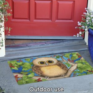 Toland Home Garden 800034 Hoot Hoot Fall Door Mat 18x30 Inch Owl Outdoor Doormat for Entryway Indoor Entrance