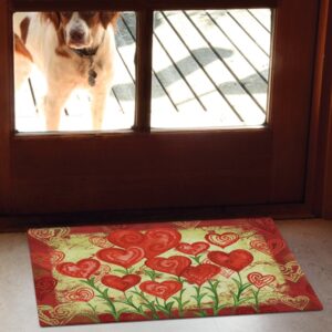 Toland Home Garden 800048 Garden Hearts Spring Door Mat 18x30 Inch Flower Outdoor Doormat for Entryway Indoor Entrance