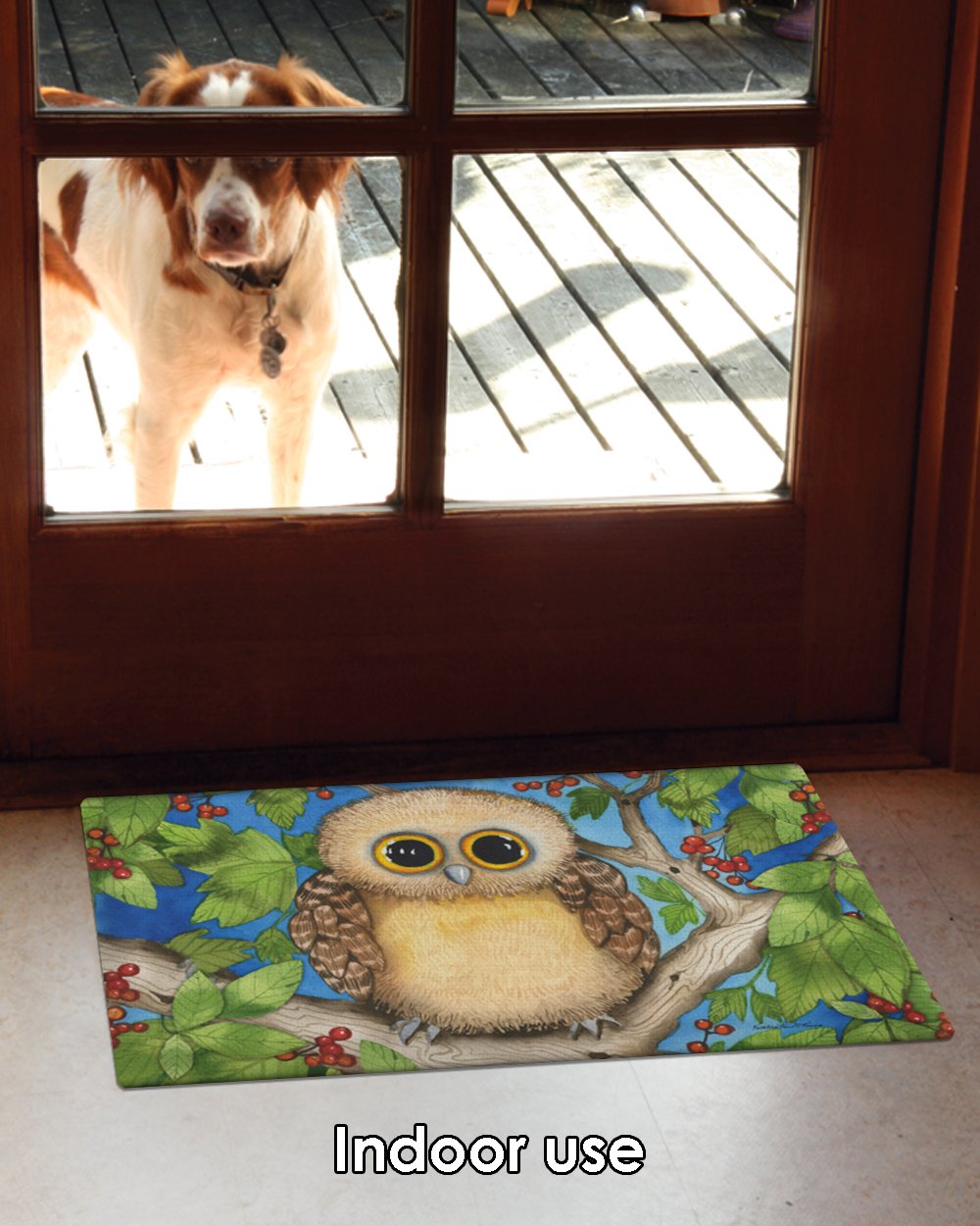 Toland Home Garden 800034 Hoot Hoot Fall Door Mat 18x30 Inch Owl Outdoor Doormat for Entryway Indoor Entrance