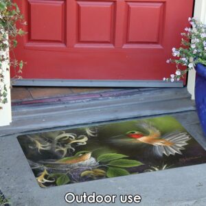 Toland Home Garden 800036 Rufous Hummingbird Spring Door Mat 18x30 Inch Summer Outdoor Doormat for Entryway Indoor Entrance