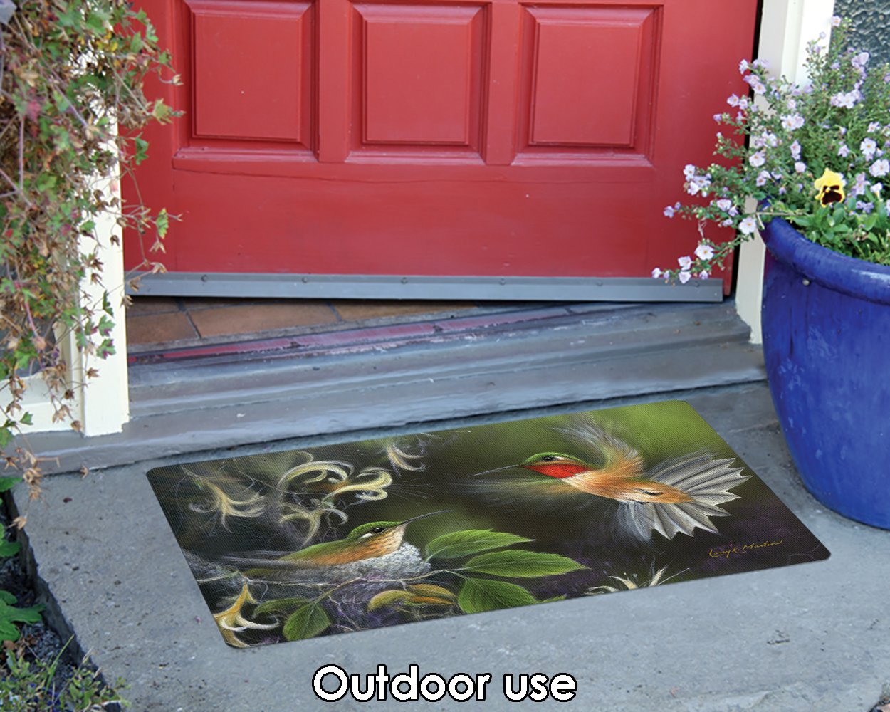 Toland Home Garden 800036 Rufous Hummingbird Spring Door Mat 18x30 Inch Summer Outdoor Doormat for Entryway Indoor Entrance