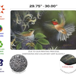 Toland Home Garden 800036 Rufous Hummingbird Spring Door Mat 18x30 Inch Summer Outdoor Doormat for Entryway Indoor Entrance