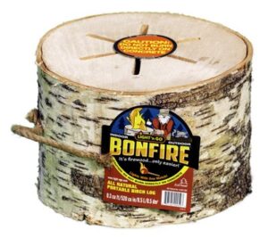 light 'n go bonfire log