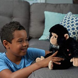 Wild Republic Chimp Stuffed Animal Plush Toy, Multi (16521), 12"