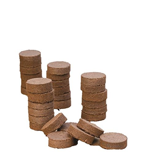 Burpee 32 Count Coir XL Super Growing Pellet 35mm