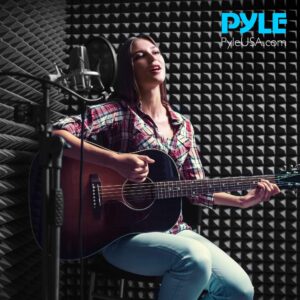 Pyle PSiP24 Acoustic Isolation Absorber Shield Sound Wall Panel Studio Foam and Dampening Wedge with Height Adjustable Stand,Charcoal Gray