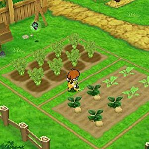 Popolocrois　farm