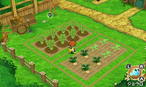 Popolocrois　farm