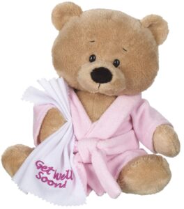 ganz 10.5" get well teddy with pink robe plush