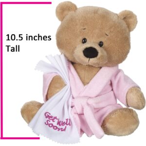 Ganz 10.5" Get Well Teddy with Pink Robe Plush