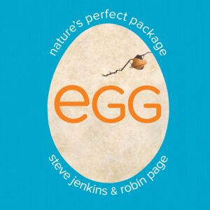 egg: nature's perfect package