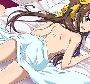 Infinite Stratos 2: Love And Purge - Limited Edition [PS Vita]