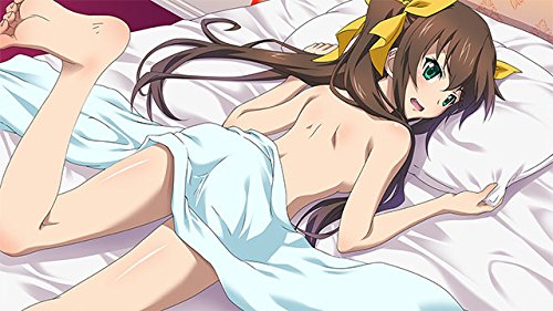 Infinite Stratos 2: Love And Purge - Limited Edition [PS Vita]