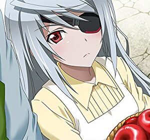 Infinite Stratos 2: Love And Purge - Limited Edition [PS Vita]