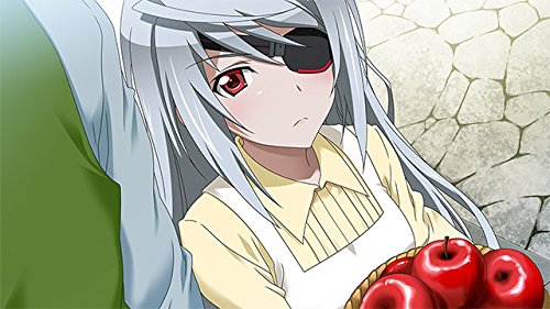 Infinite Stratos 2: Love And Purge - Limited Edition [PS Vita]