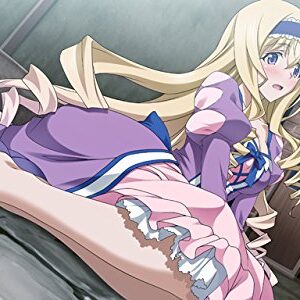 Infinite Stratos 2: Love And Purge - Limited Edition [PS Vita]