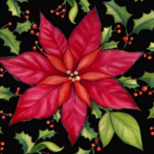 Toland Home Garden 800116 Poinsettia Winter Door Mat 18x30 Inch Christmas Outdoor Doormat for Entryway Indoor Entrance