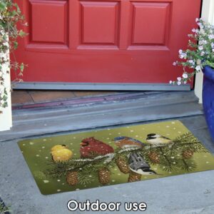 Toland Home Garden 800093 Snowy Friends Winter Door Mat 18x30 Inch Bird Outdoor Doormat for Entryway Indoor Entrance