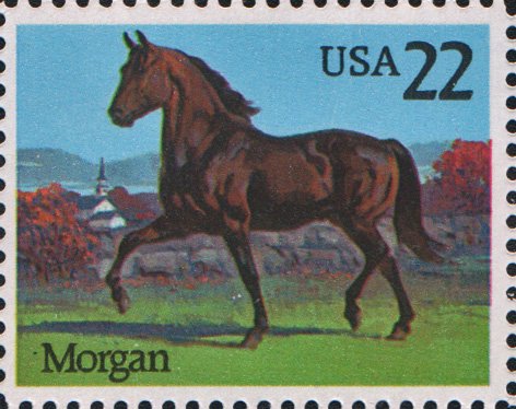 USPS Horse Breeds 1985 Full Sheet of 40 x 22 Cent Stamps Scott 2155-58