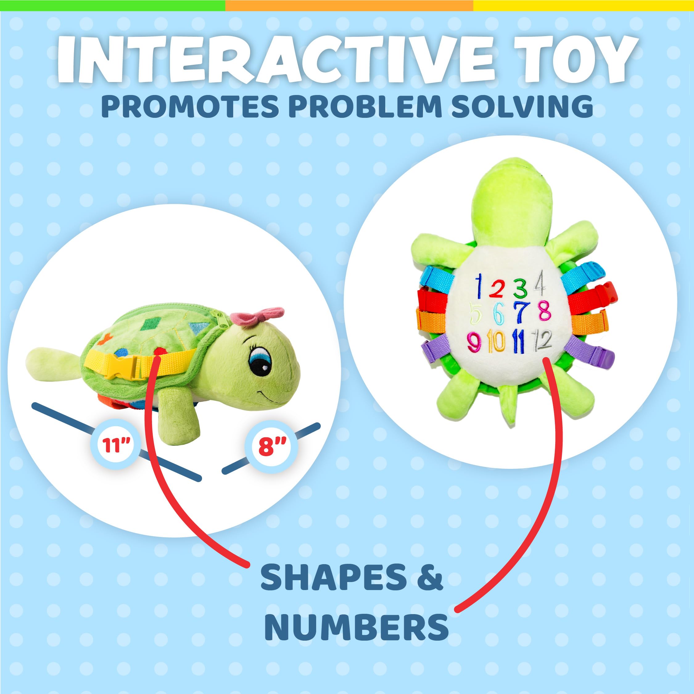 Buckle Toys - Belle Turtle - Learning Activity - Develop Motor Skills and Problem Solving - Counting and Color Recognition - Airplane Travel Essentials Kids