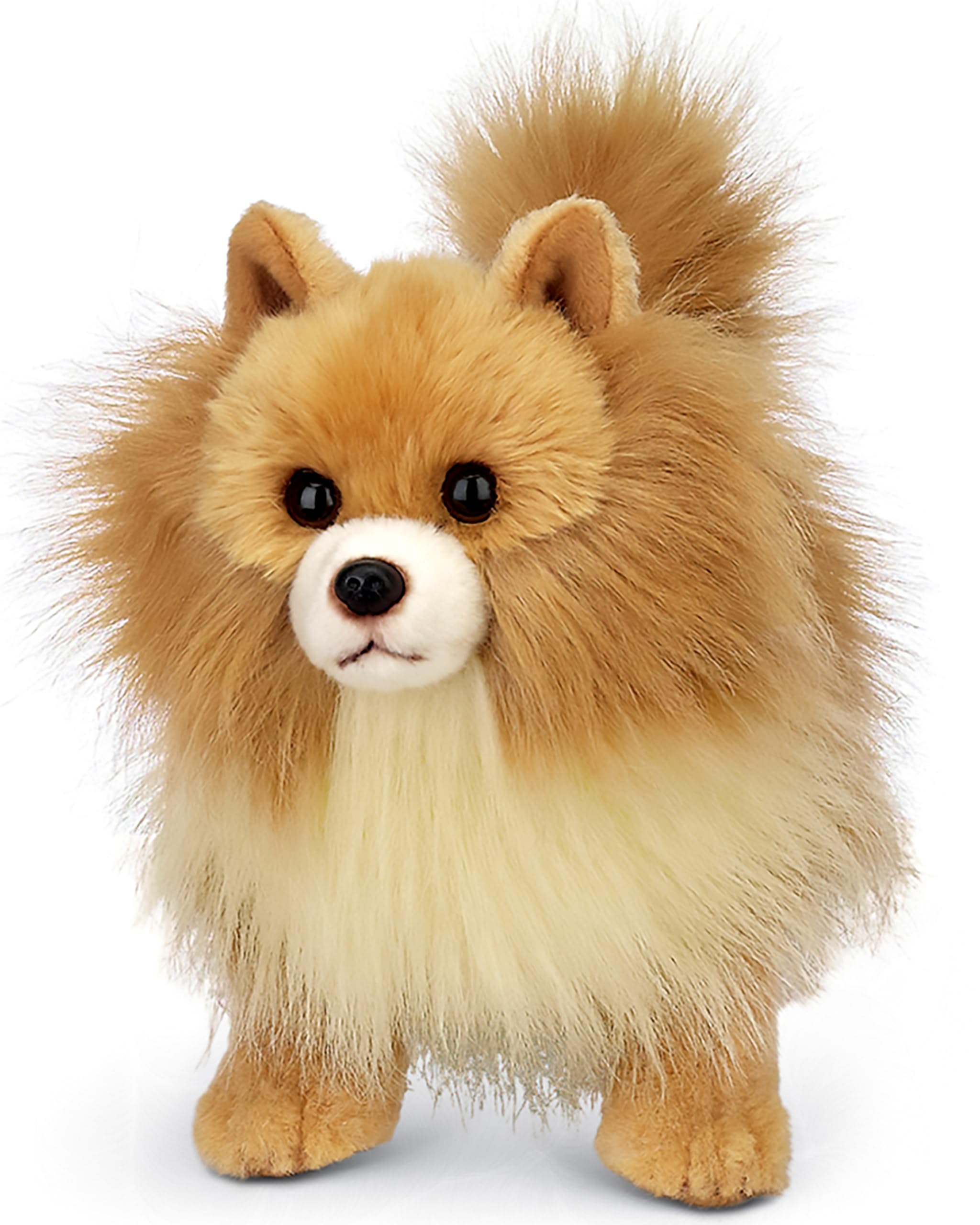 Bearington Rudy The Pomeranian Plush, 13 Inch Pomeranian Stuffed Animal