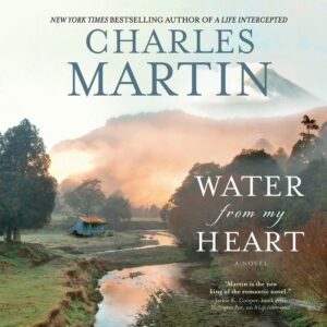 water from my heart: a novel