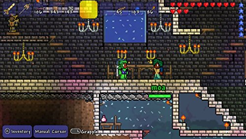 Terraria - PlayStation Vita