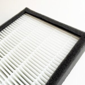 Nispira True HEPA Filter B FLT4825 Replacement For GermGuardian Air Purifier AC4825 AC4825E AC4825DL AC4825DLX AC4850PT AC4900CA AC4900ca AC4850PT AC4820 Pure Guardian AP2200CA Black Decker, 2 Pks