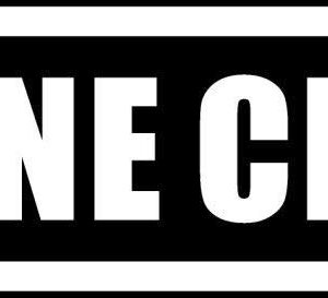 Tone City DRY Martini Overdrive Powerful Direct Response Player Favorite Your Tone City Connection!