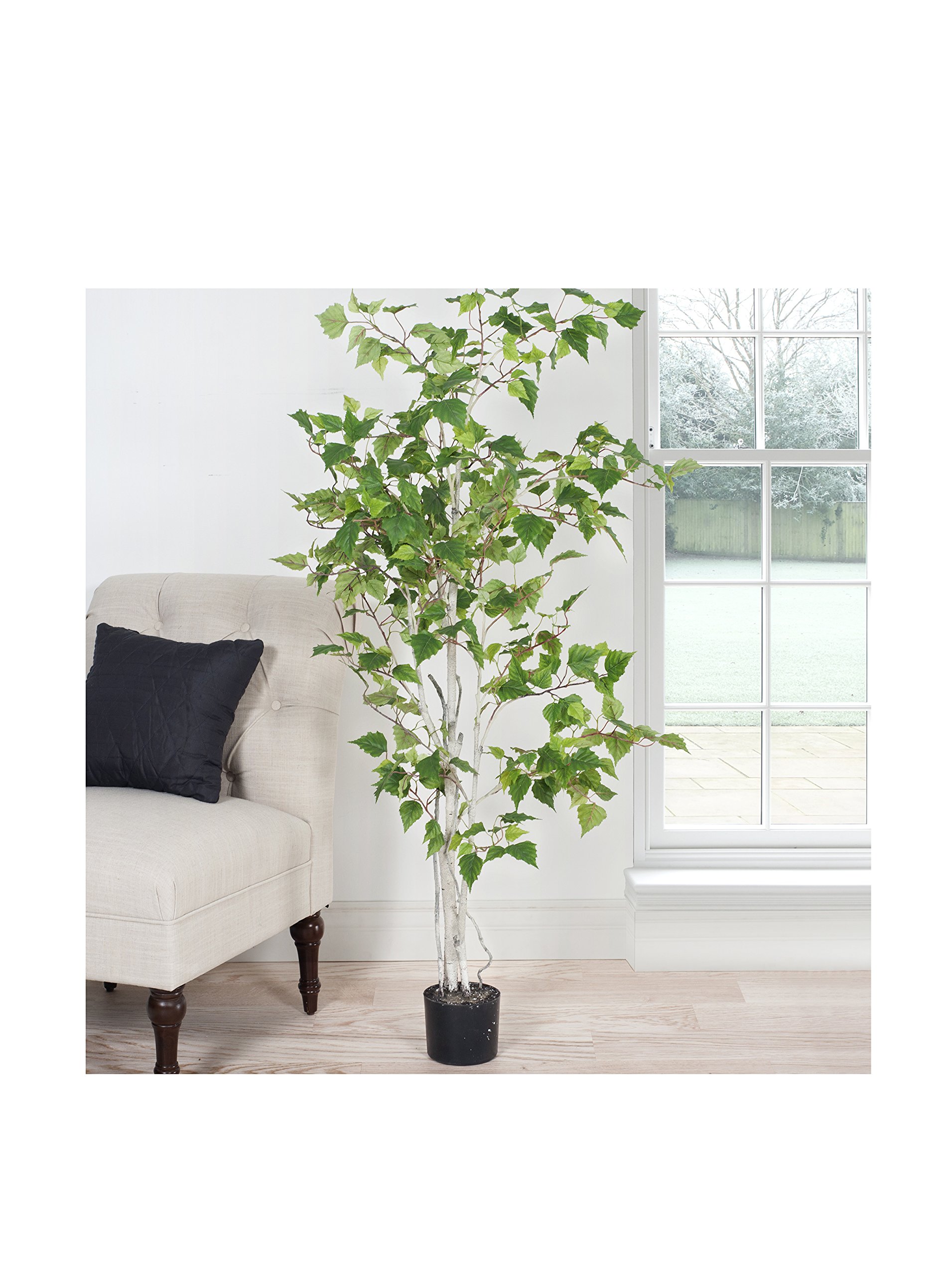 Pure Garden Birch Artificial Tree - 60-Inch Potted Faux Plant with Natural Looking Leaves for Office or Home Decor - Realistic Indoor Fake Plants