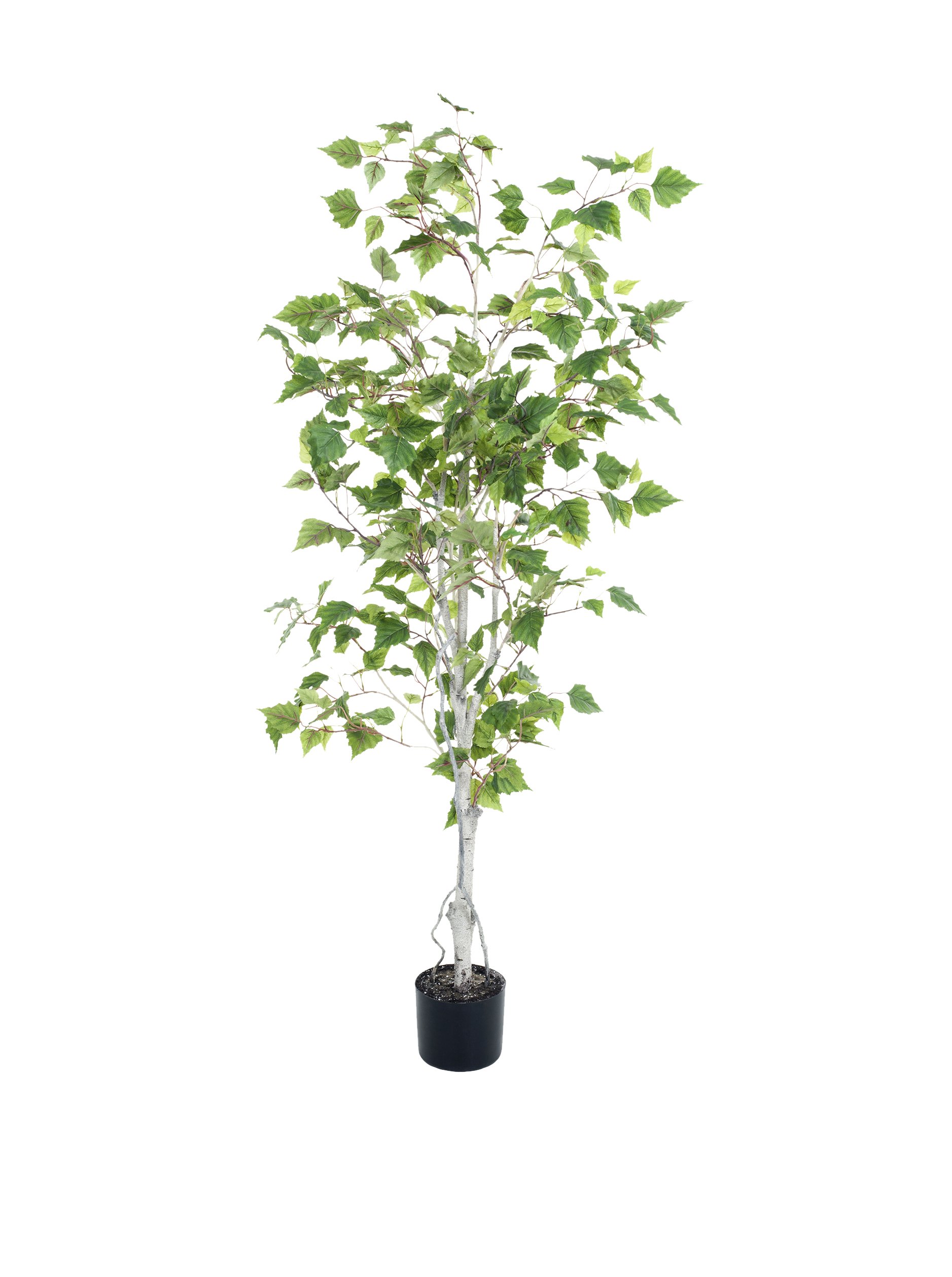 Pure Garden Birch Artificial Tree - 60-Inch Potted Faux Plant with Natural Looking Leaves for Office or Home Decor - Realistic Indoor Fake Plants