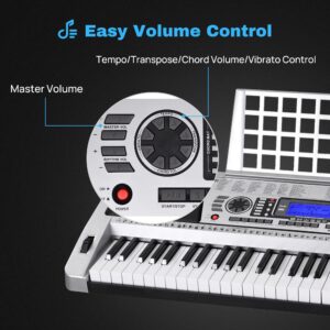 AW 61 Key Electric Keyboard Organ LCD Screen MIDI Silver Sheet Music Stand Digital Demo Songs Midi Output 125 Rhythms 345 timbress Personal Electronic Piano