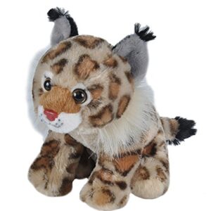 Wild Republic Bobcat Plush, Stuffed Animal, Plush Toy, Gifts for Kids, Cuddlekins, 8 Inches,Multi