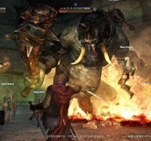 Dragons Dogma Online Limited Edition