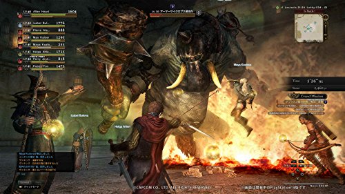 Dragons Dogma Online Limited Edition