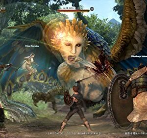 Dragons Dogma Online Limited Edition