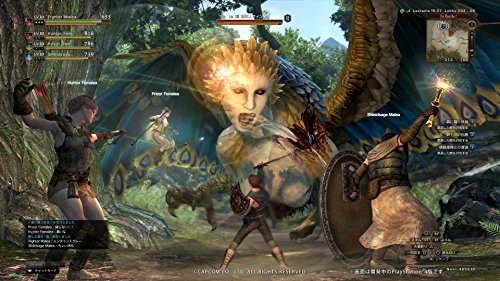 Dragons Dogma Online Limited Edition