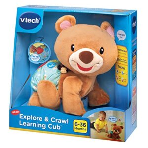 VTech Explore and Crawl Learning Cub